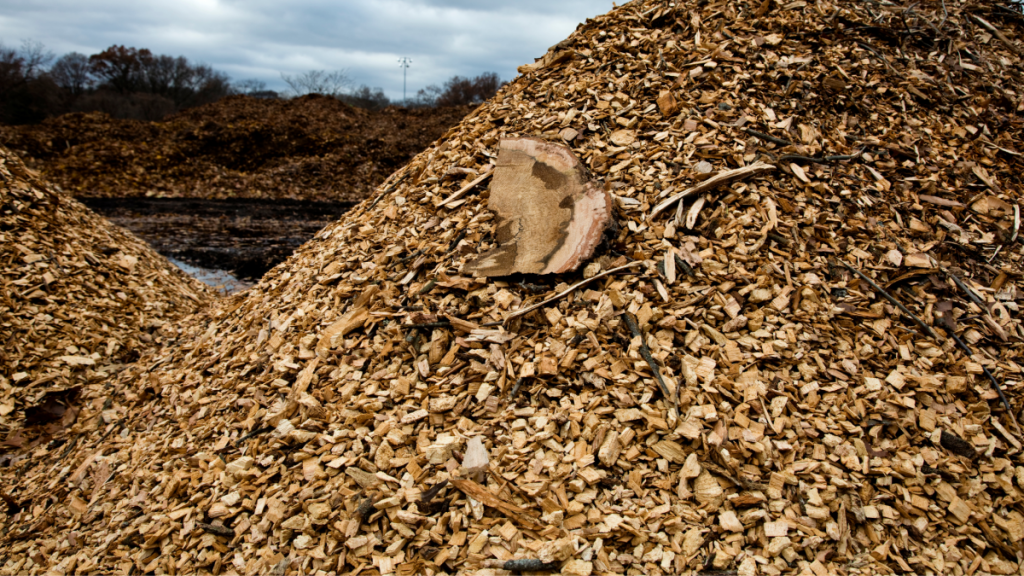 Harmac Pacific – Chip Pile Assessment - CRM